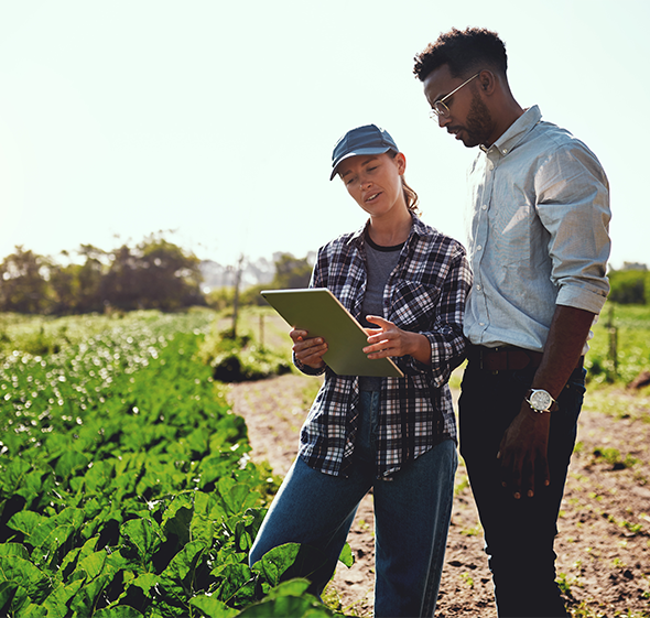 Soil Testing - RhizeBio - Improving Soil Performance