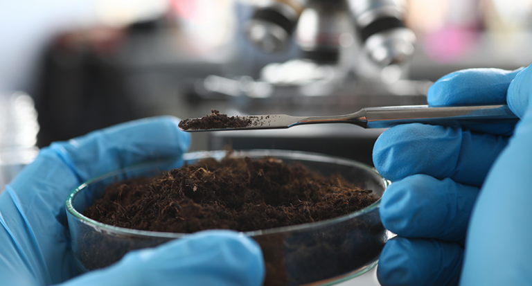 Soil Testing - RhizeBio - Improving Soil Performance