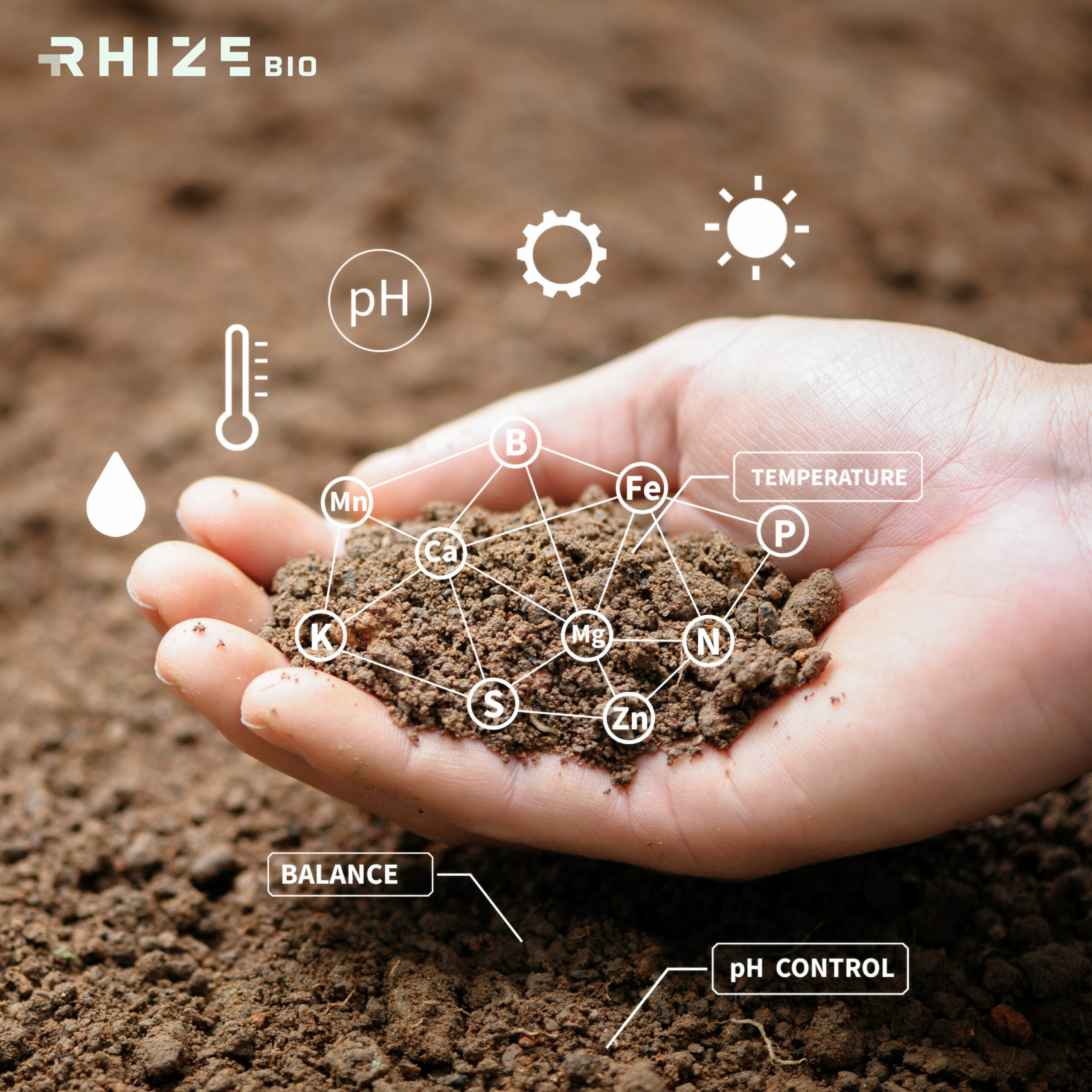 Soil Health Reports & Nutrient Analysis Unveiled: Digging Deeper